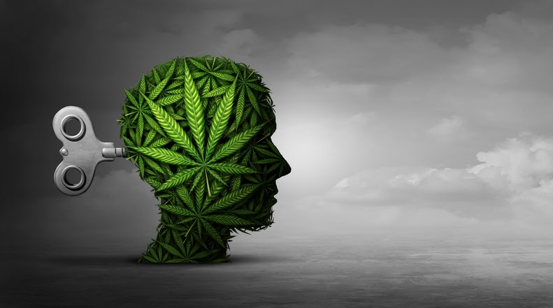 Is Marijuana Addictive? | NuggMD
