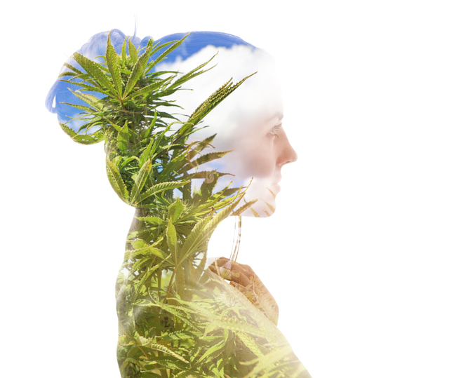 What Is THCA? | NuggMD