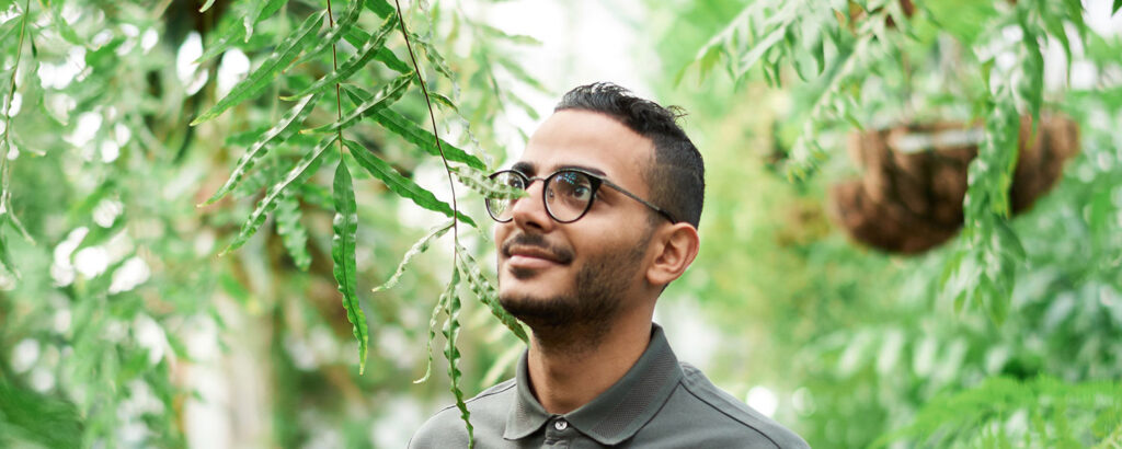 Cannabis Growing 101: When to Top Weed Plants | NuggMD