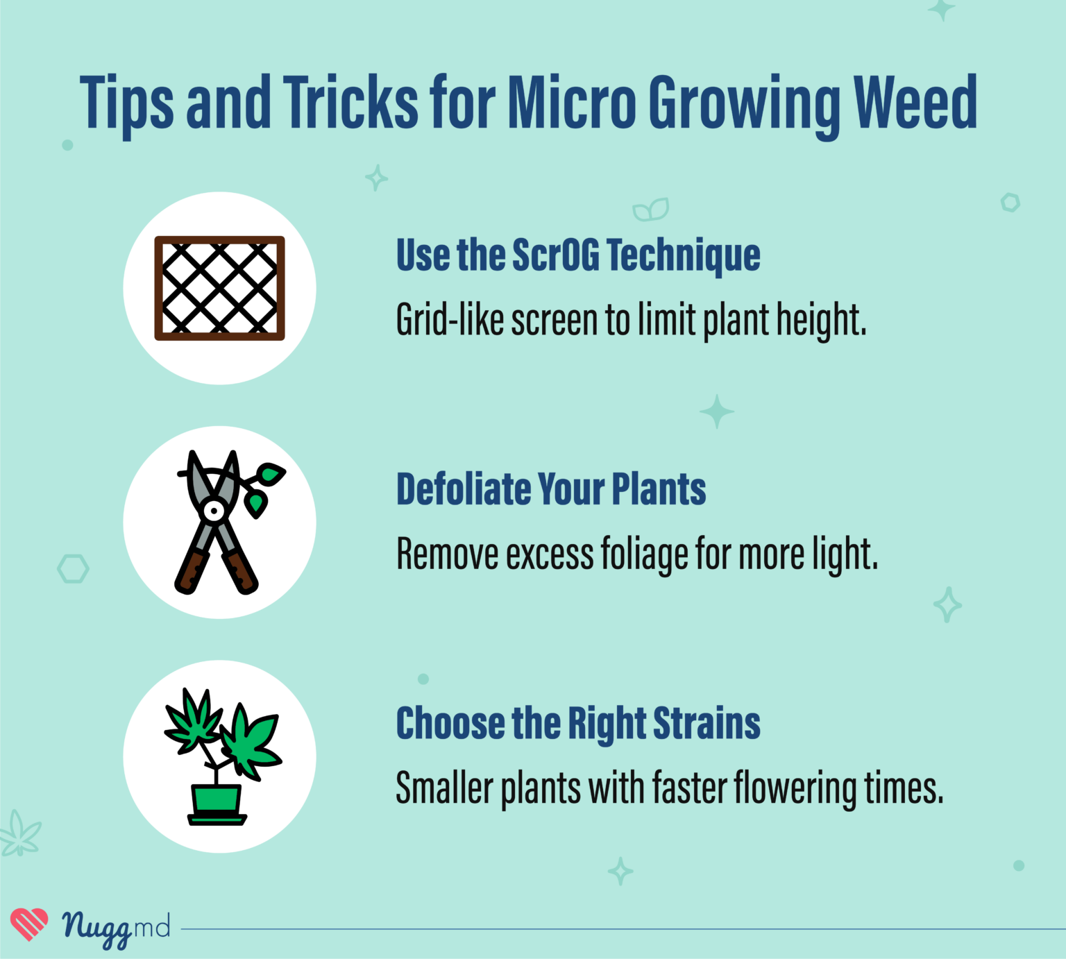 Micro Growing Weed: Cultivation Tips | NuggMD