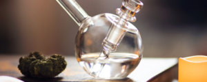 Understanding Cannabis Reclaim: Everything You Need to Know | NuggMD