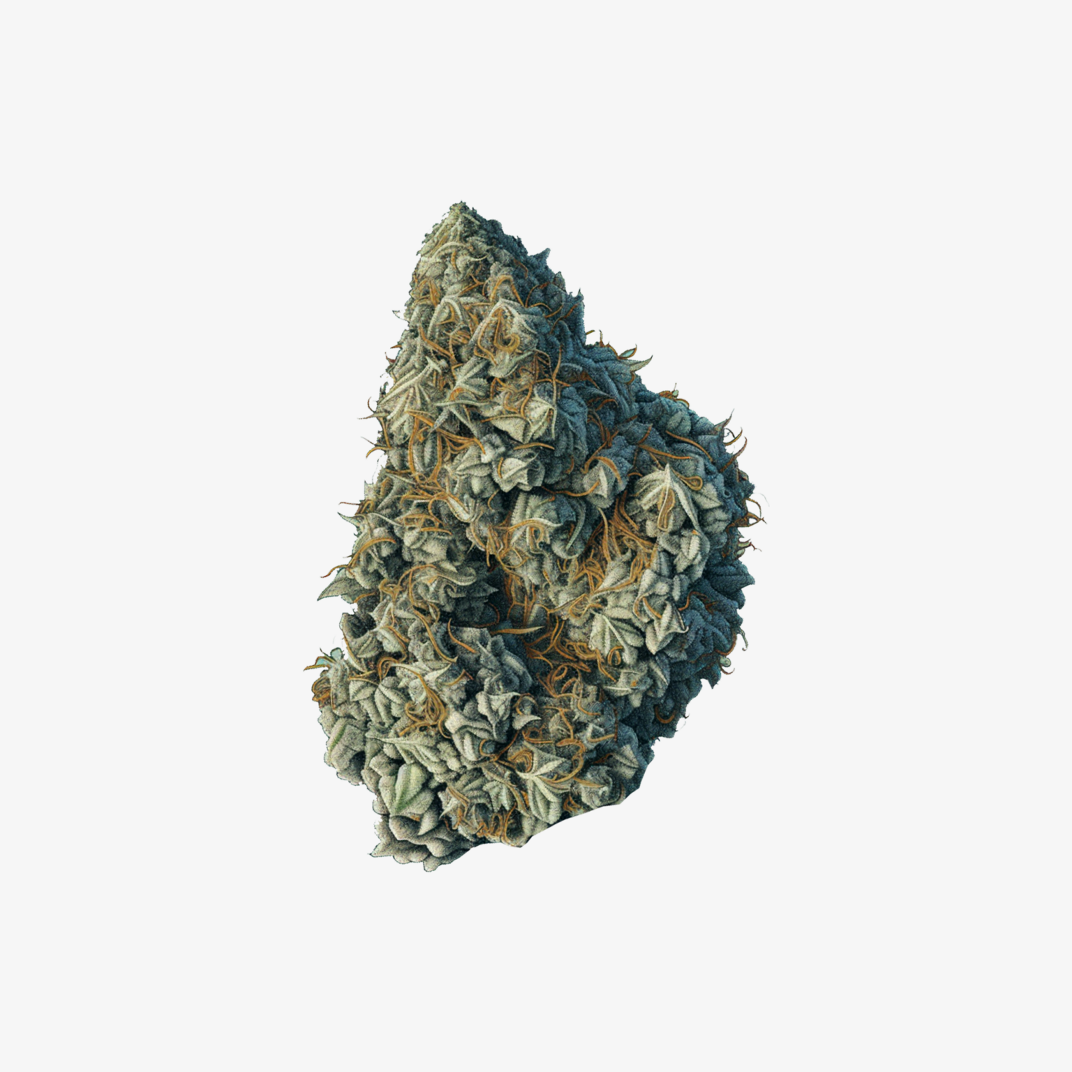 Triangle Kush Strain Review | NuggMD