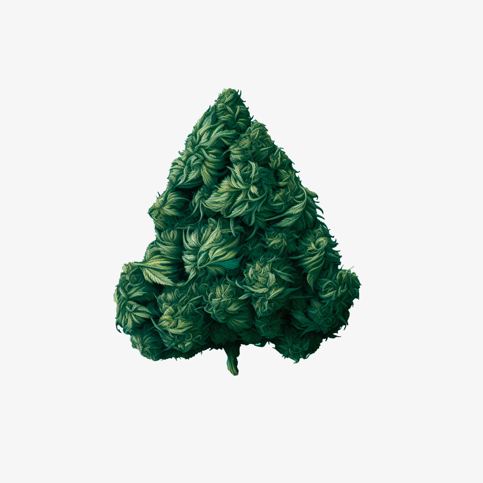 Kush Mints Strain Review | NuggMD