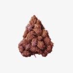 Pink Runtz Strain Review: Effects, Aroma, Dosage