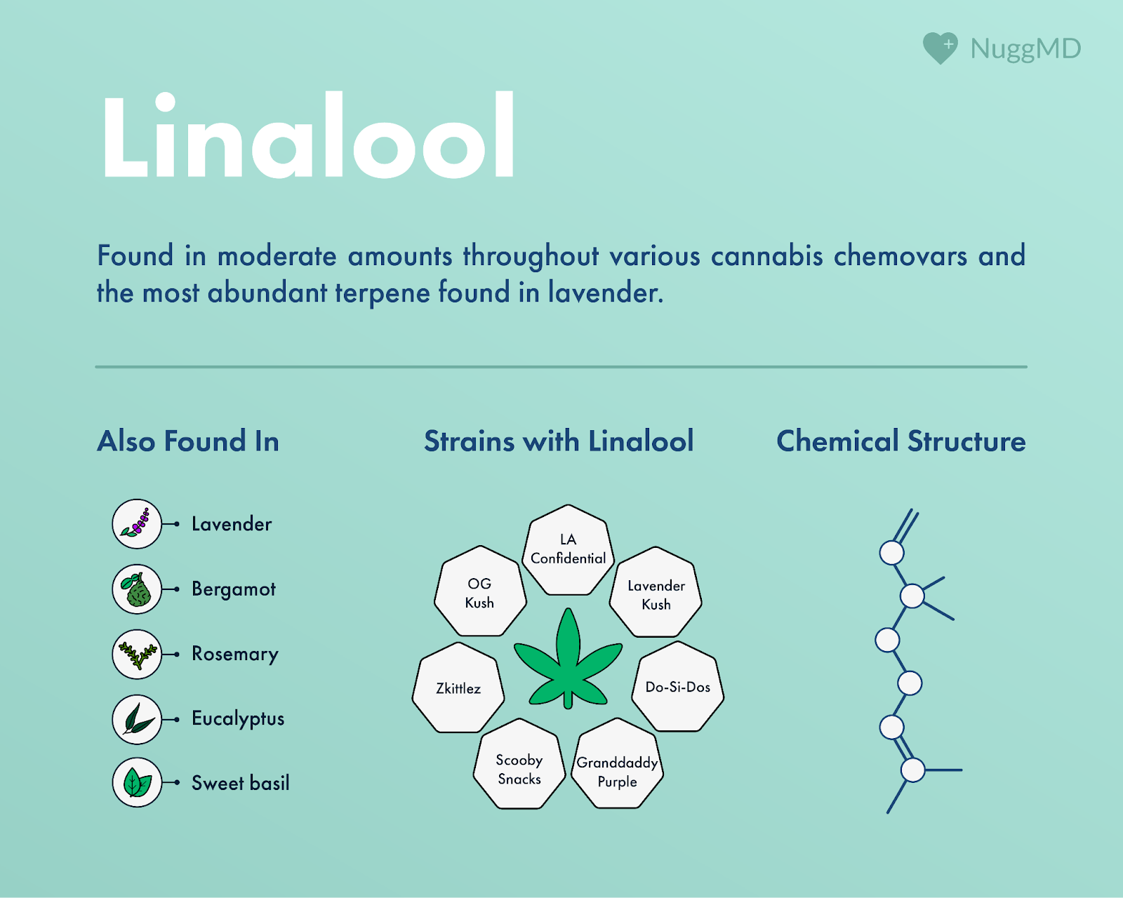 What Is Linalool? (Benefits, Effects, Strains) | NuggMD